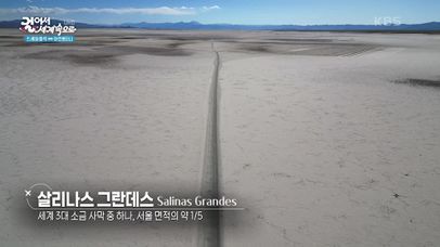 세계 3대 소금 사막 중 하나 살리나스 그란데스 | KBS 250806 방송 | 네이트 TV