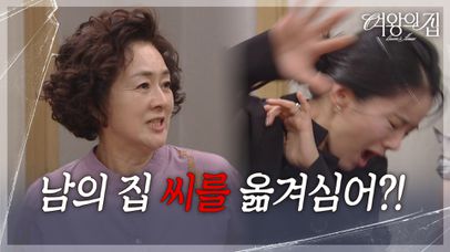 ＂남의 집 씨를 옮겨심어?!＂ 이가령에 재대로 분노한 이보희 [여왕의 집] | KBS 250918 방송 | 네이트 TV